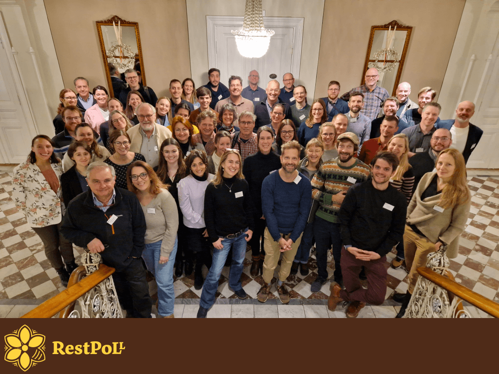 RestPoll kick-off meeting - Alexandra-Maria Klein