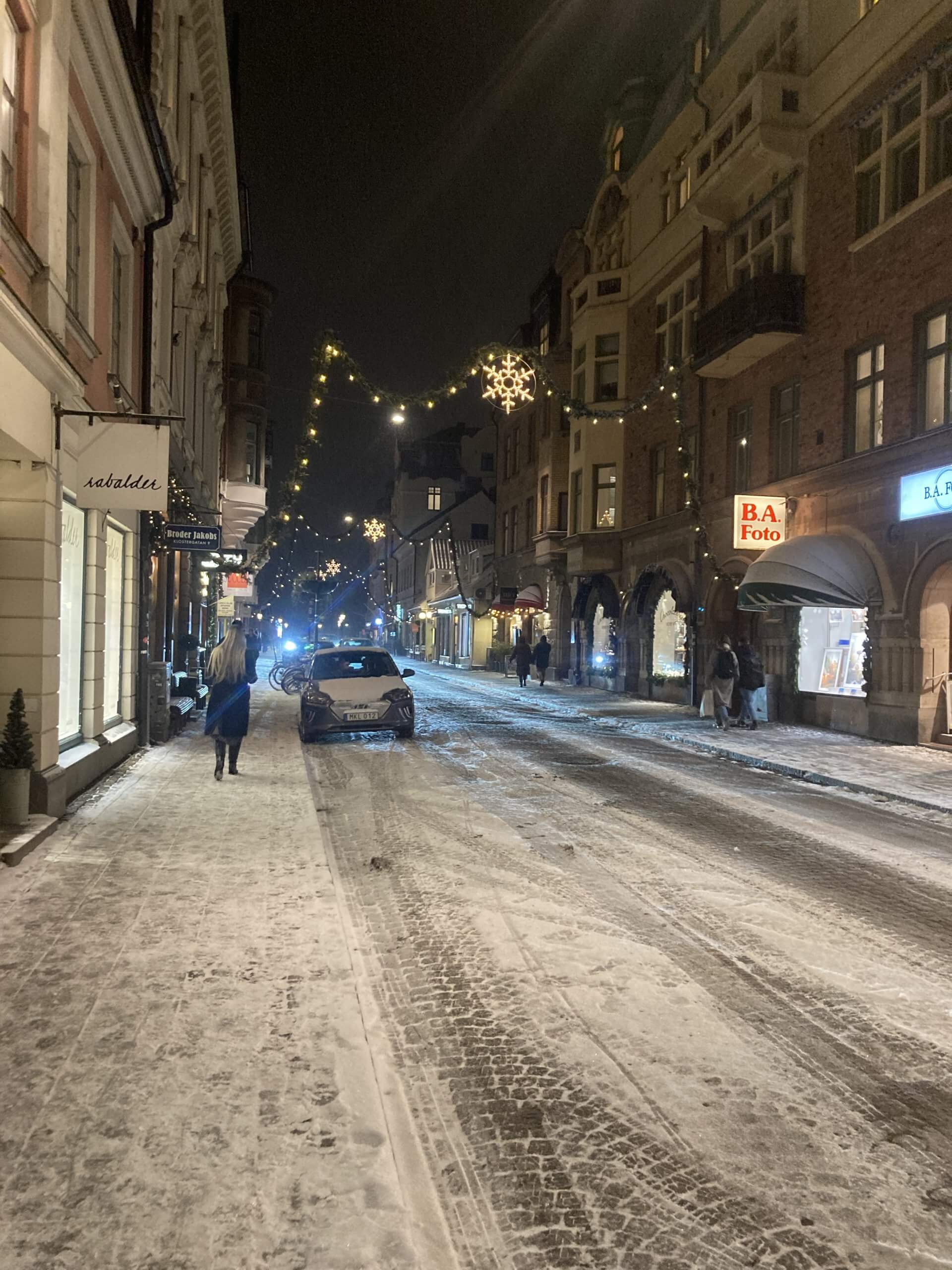 Visiting professorship at Lund University - Alexandra-Maria Klein